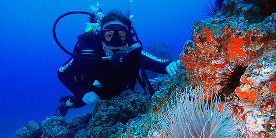 Buceo en La Gomera